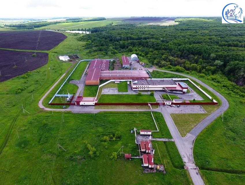 Pig farm for sale in Russia (Samara regoin) - Russian-farmland.com