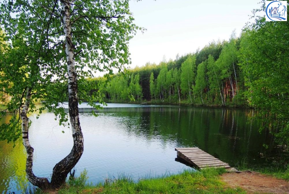 Land for a ranch with a lake in Russia - Russian-farmland.com