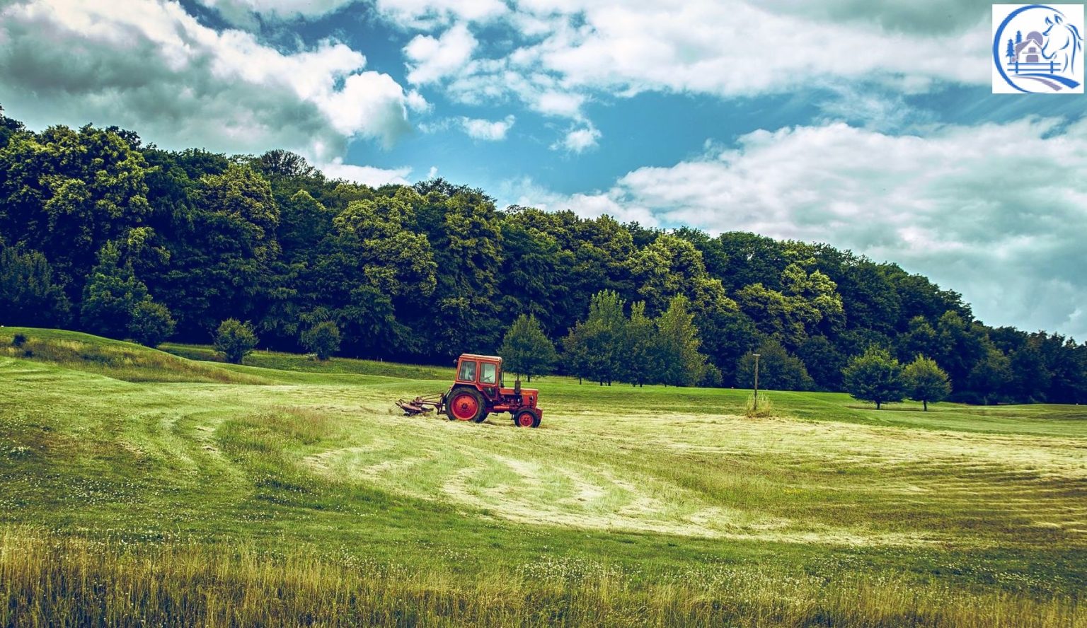 Agricultural land for sale in Russia (Kaluga region) - SOLD - Russian ...