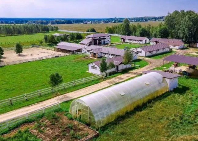 A small farm for sale in Russia - Kaluga region 8.5 hectares - Russian ...